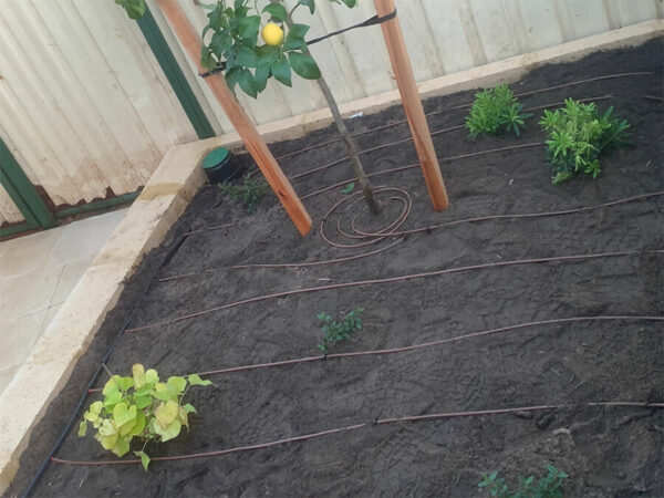 Reticulation Installation Perth | Passionate about gardens & lawns