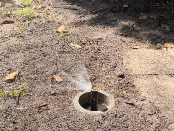 How to Install Pop-up Sprinklers | A Comprehensive Guide