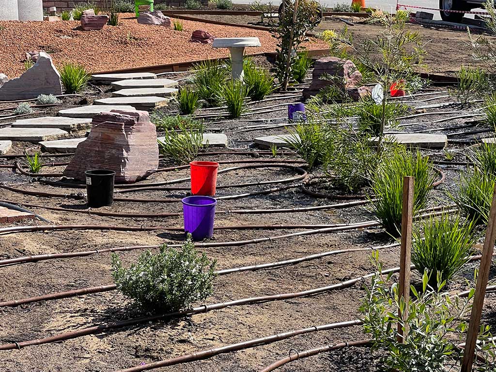 Drip Irrigation vs Spray Irrigation | Which One is Right for Your Garden?