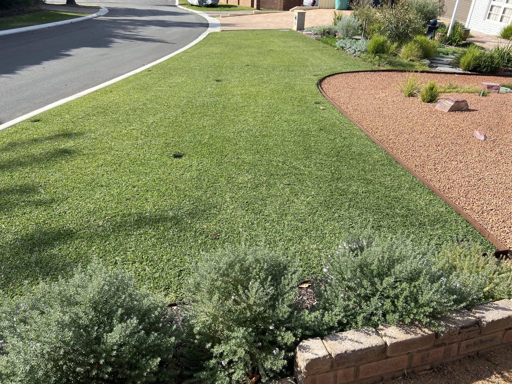 How to Choose the Best Lawn Variety for Your Perth Landscape