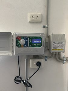 Watering Days Perth | A Comprehensive Guide